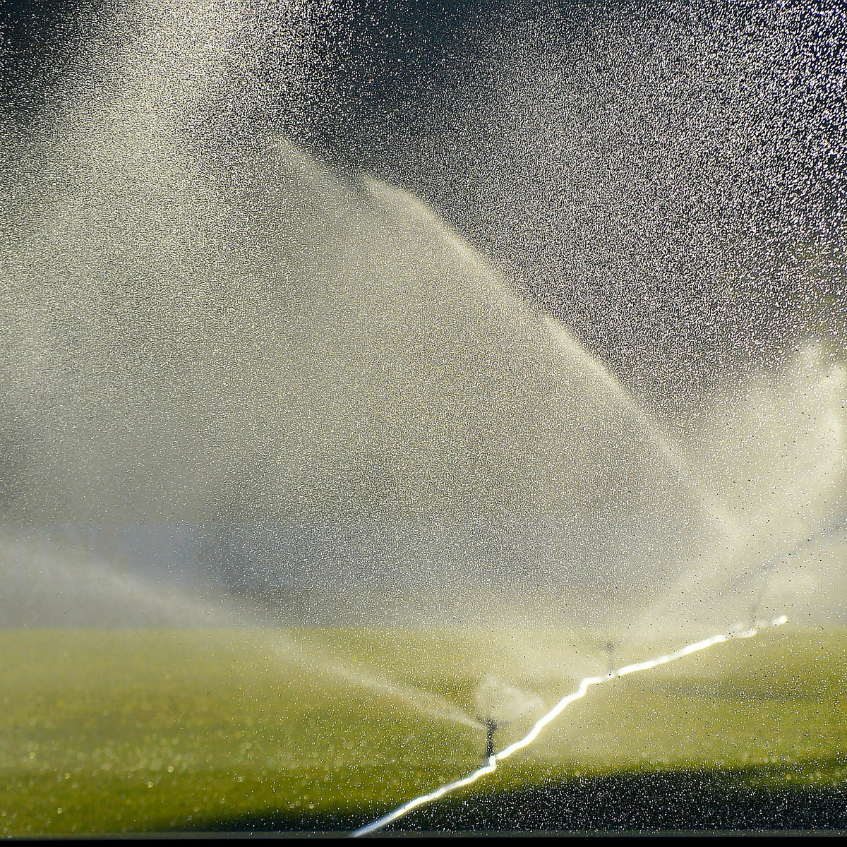 Finding Your Flow: Choosing the Perfect Irrigation System for Your Yar ...