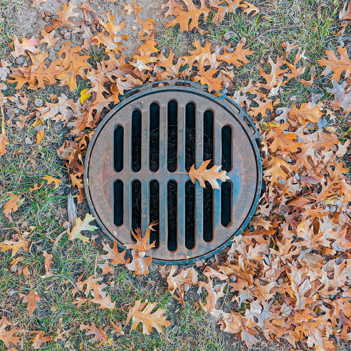 Fall Drainage Solutions: Protect Your Garden from Seasonal Showers ...