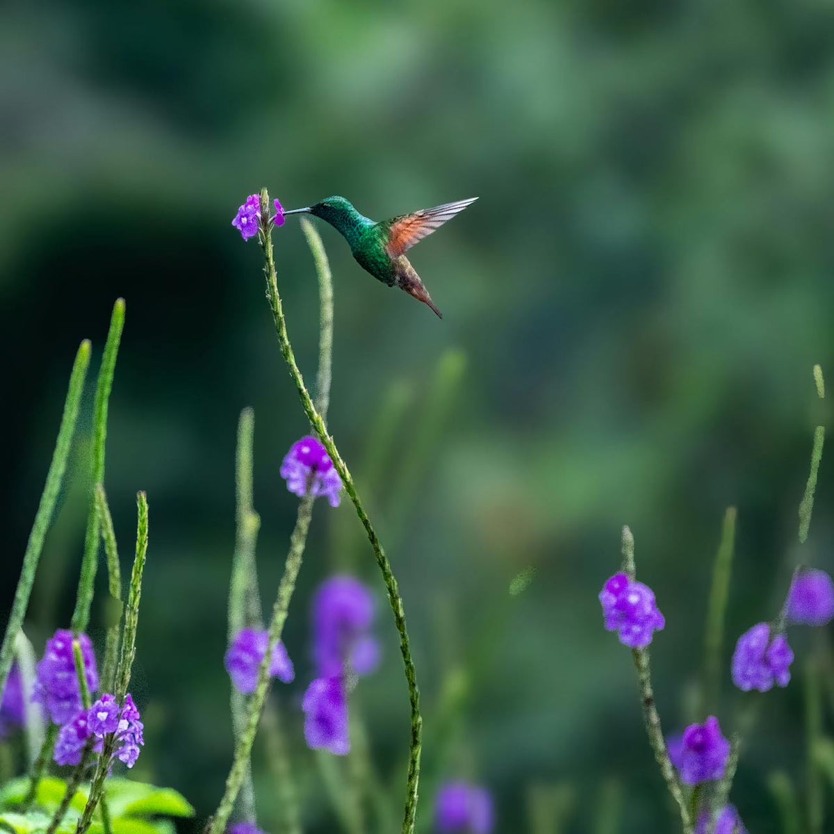 Spring Prep: Get Your Garden (and Irrigation) in Shape for the Growing ...