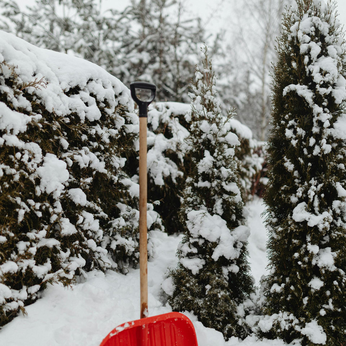 Winter Garden Prep: Get Your Tools, Beds, and Compost Ready for Spring ...