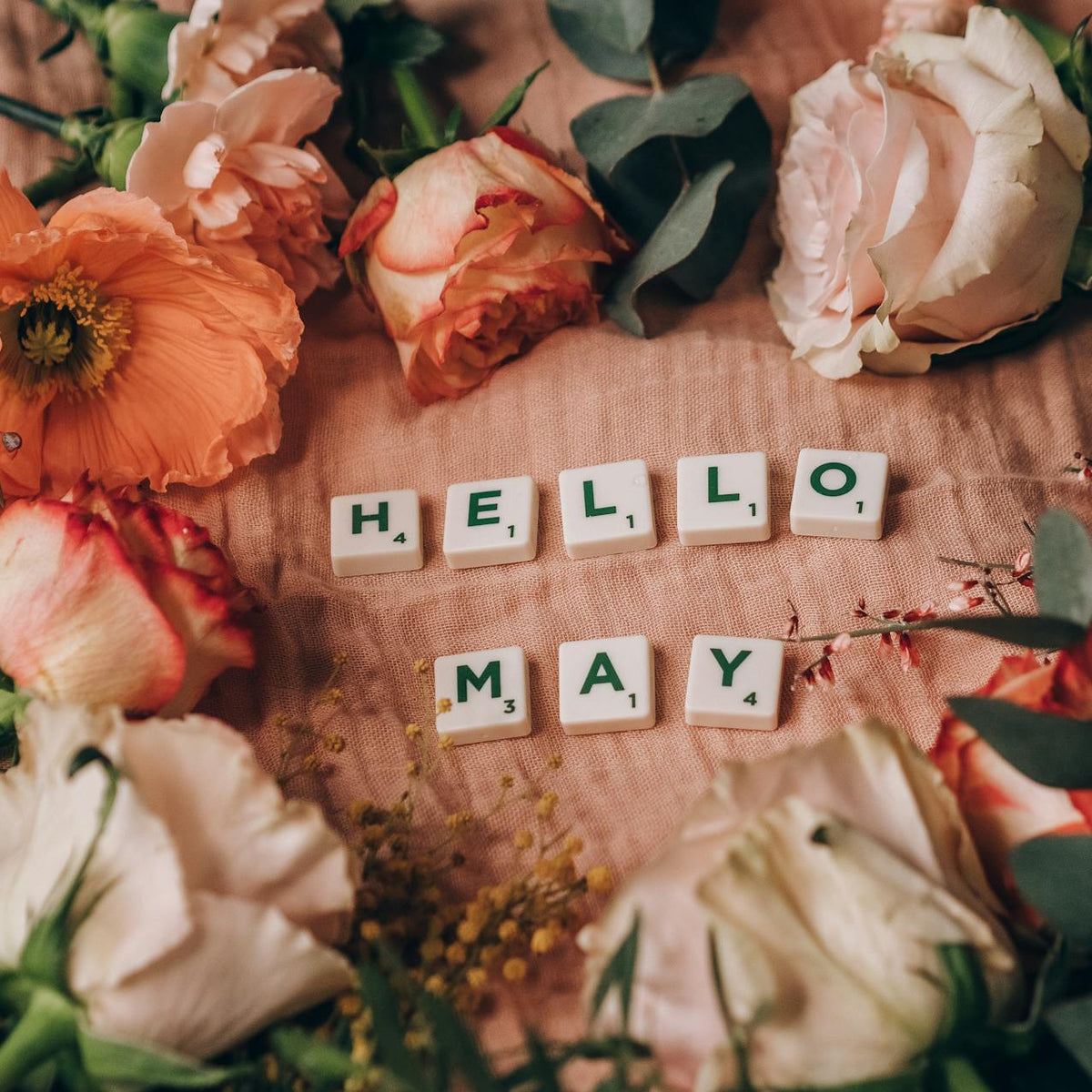 May Day! May Day! Time to Prep Your Garden for Summer in Zone 8a ...