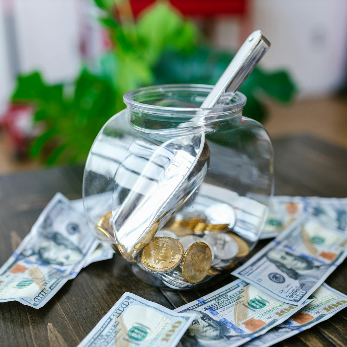 Save Money on Garden Watering: Affordable Irrigation Solutions from Ch ...