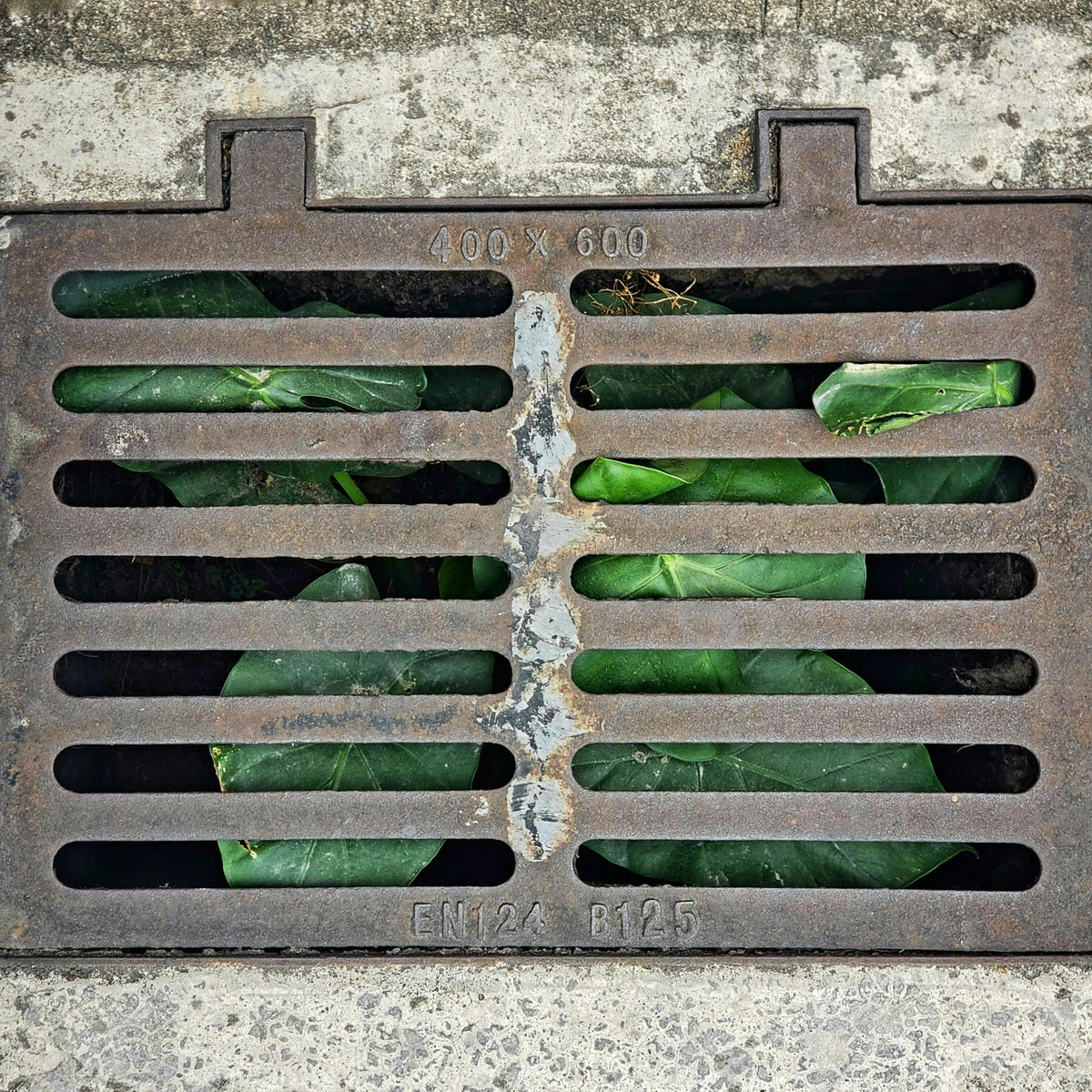 Spring Showers and Drainage: Managing Water in Your Yard and Garden ...