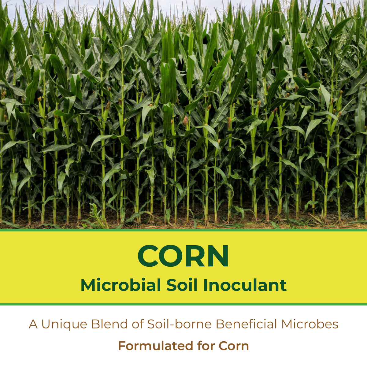 Rhizol CORN-20ACRE Dissolvable Microbial Soil Inoculant for Corn ...